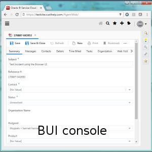 Error occurs in the admin console | Oracle B2C Service
